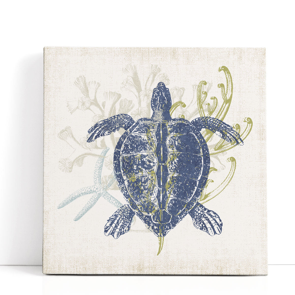 Antique Coastal Ephemera III | Giclee Print | Victoria Barnes – Framed ...